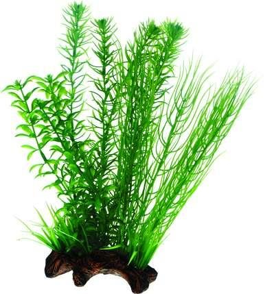 Plastik plante Flora Root 30 cm høj- - Dekorationer - Dalum Dyrehandel